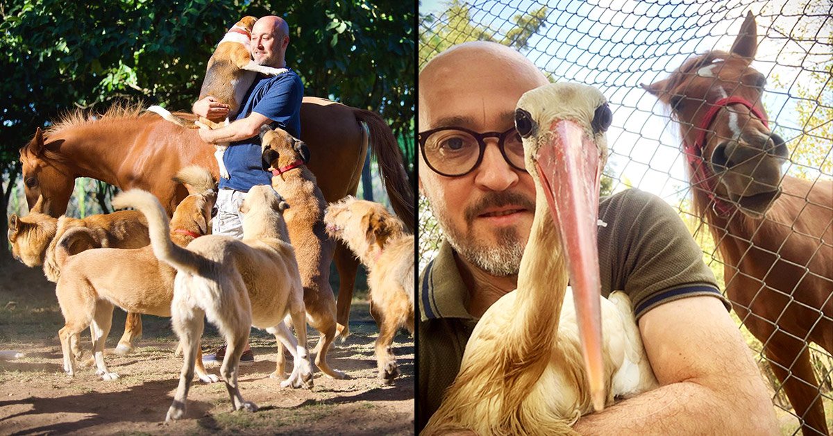 Hombre generoso convierte su granja en un santuario para animales ...